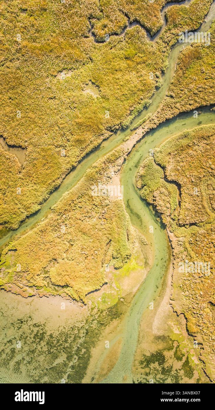 Abstract aerial view of wetlands landscape in the Netherlands Stock ...
