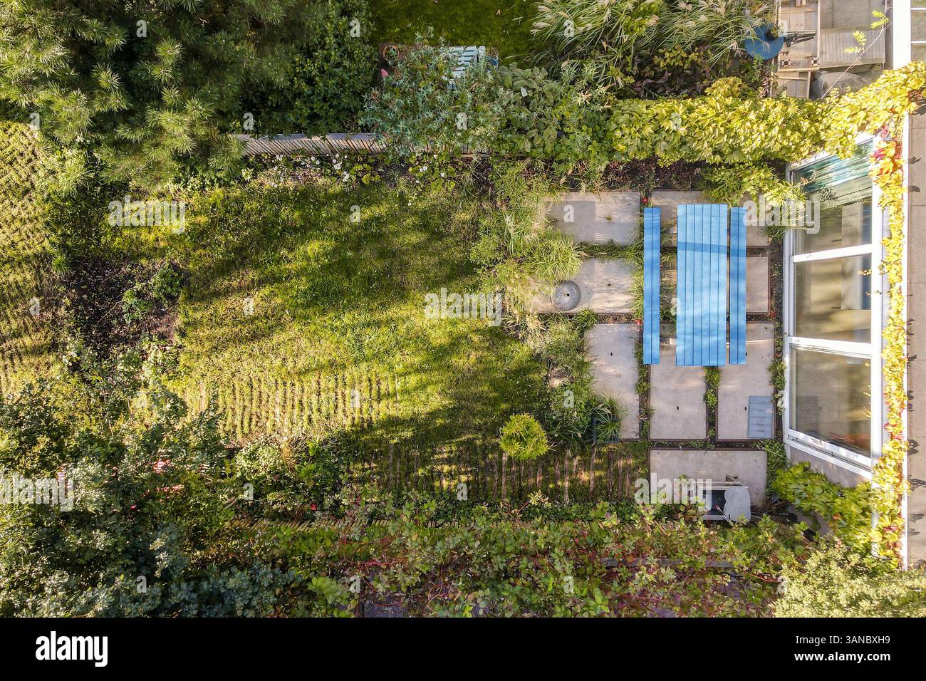 An expansive garden featuring lush greenery, a stone path, and a set of ...
