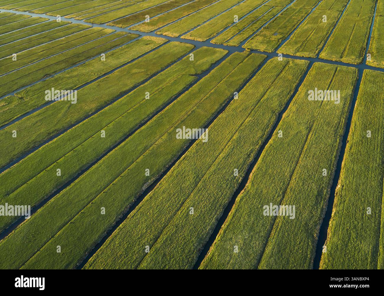 Aerial view of farming fields with canal in the countryside of ...