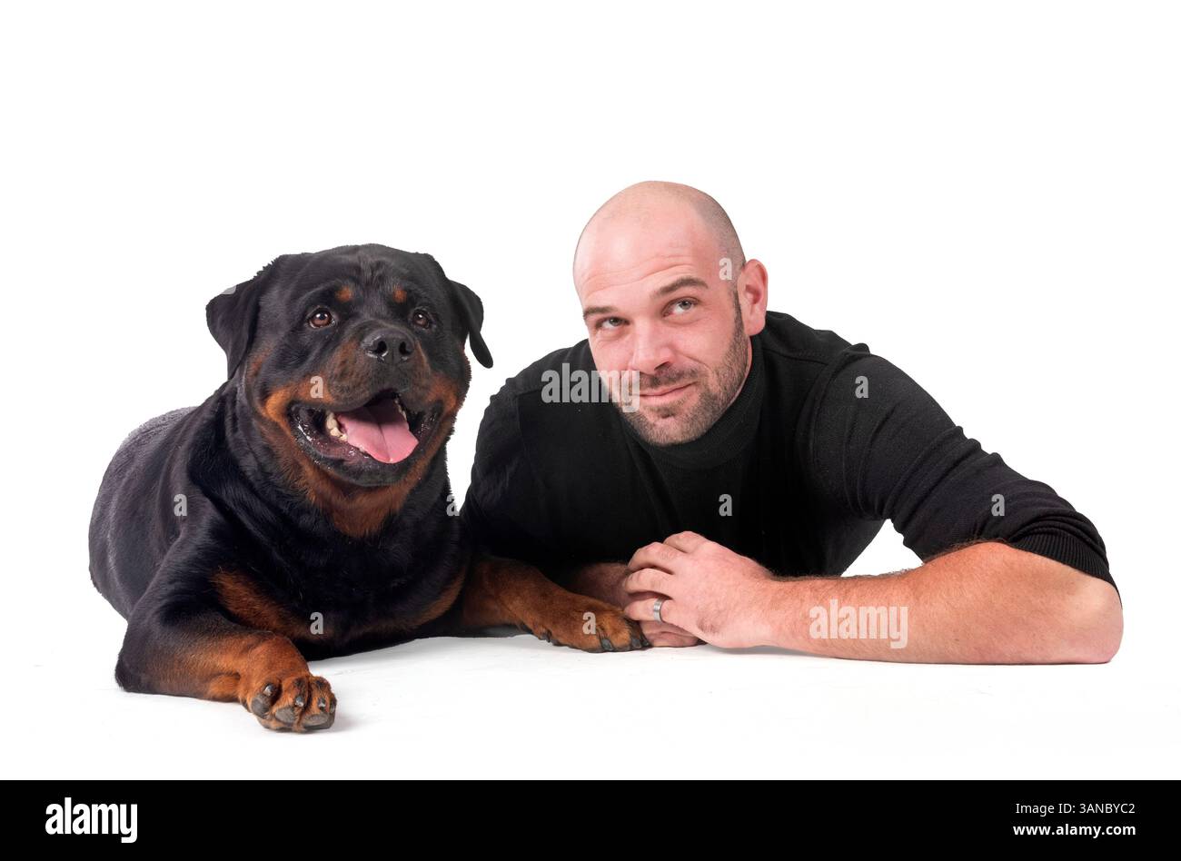 purebred rottweiler and man in front of white background Stock Photo ...