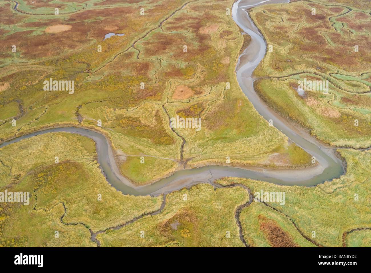 Aerial view of small stream crossing wetland, Netherlands Stock Photo ...