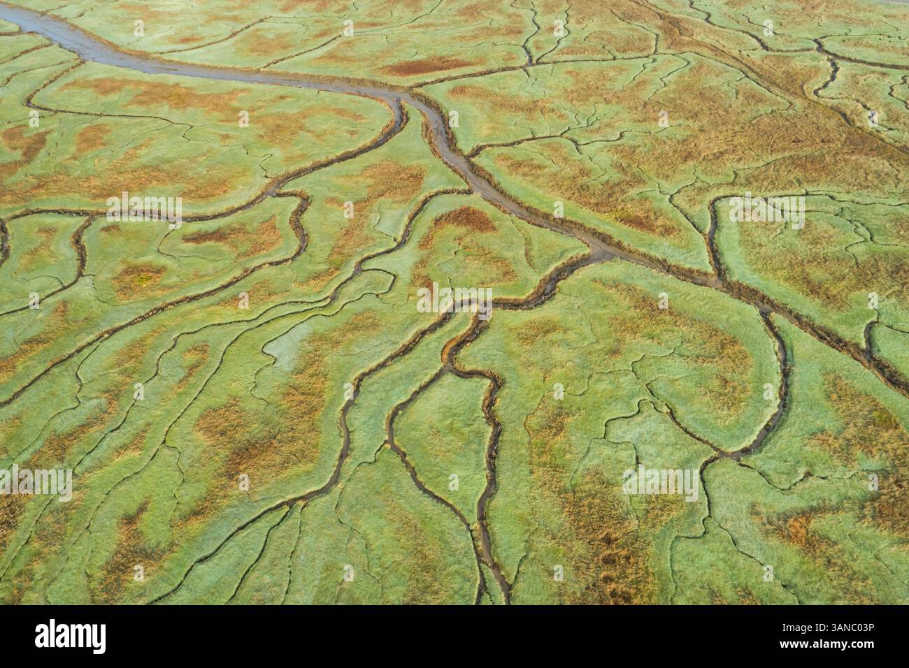 Aerial view of small stream crossing wetland, Netherlands Stock Photo ...