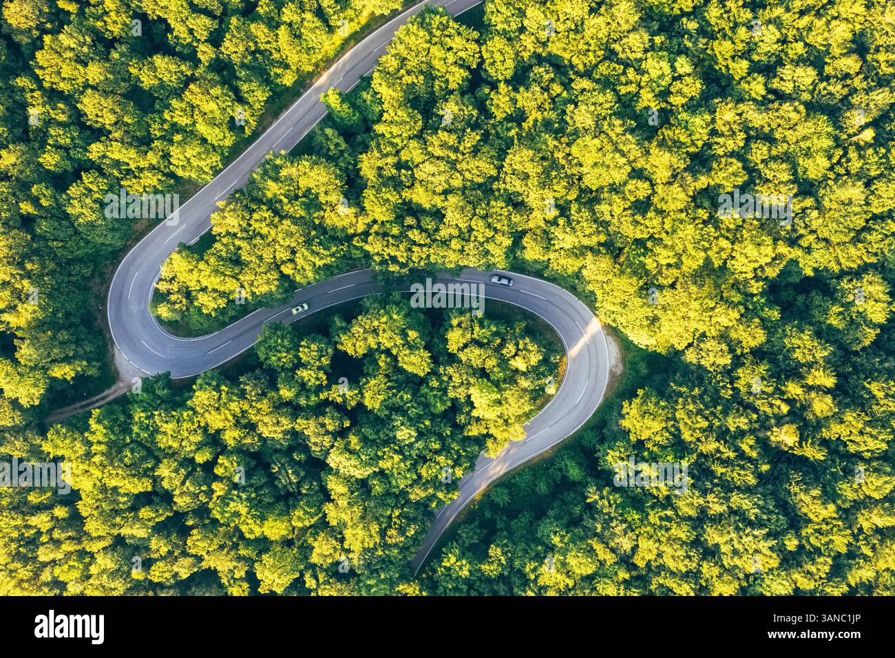 Aerial view of the beautiful curve road in Vienna woods in Wienerwald ...