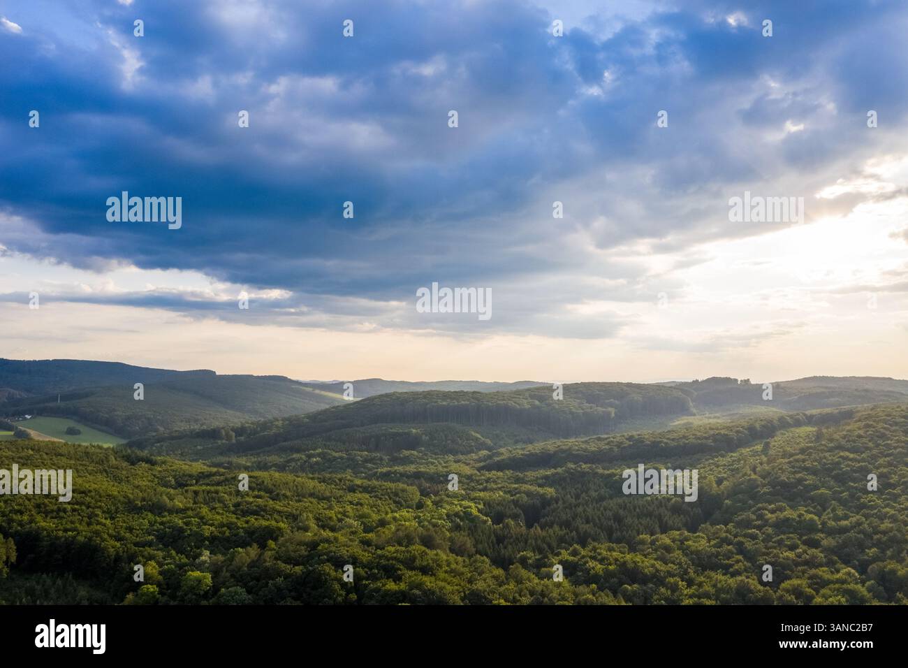 Aerial view of the green vienna woods in Wienerwald, Austria Stock ...