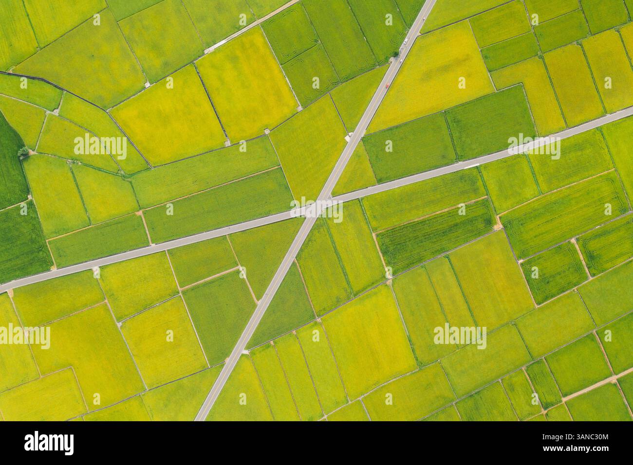 Rice terrace aerial hi-res stock photography and images - Alamy
