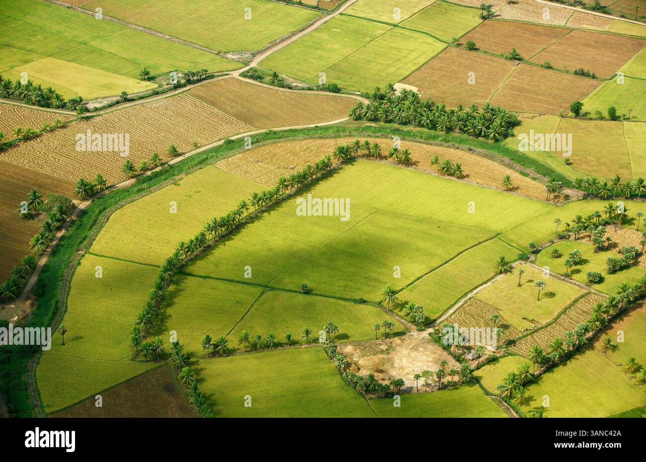 Aerial view of field, Andhra Pradesh, India Stock Photo - Alamy