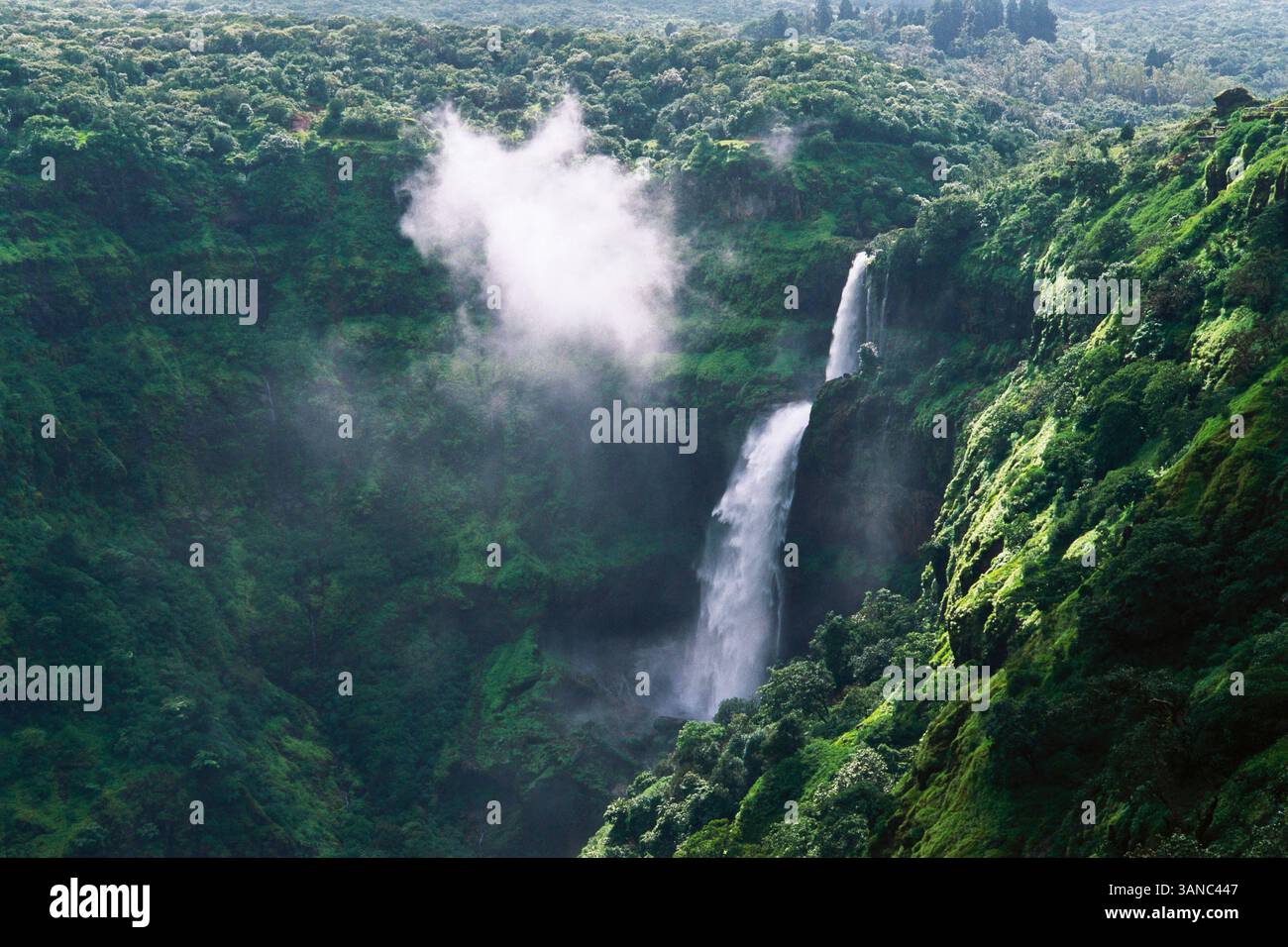 Aerial view of Lingmals falls, Mahabaleshwar Mahableshwar, Maharashtra ...