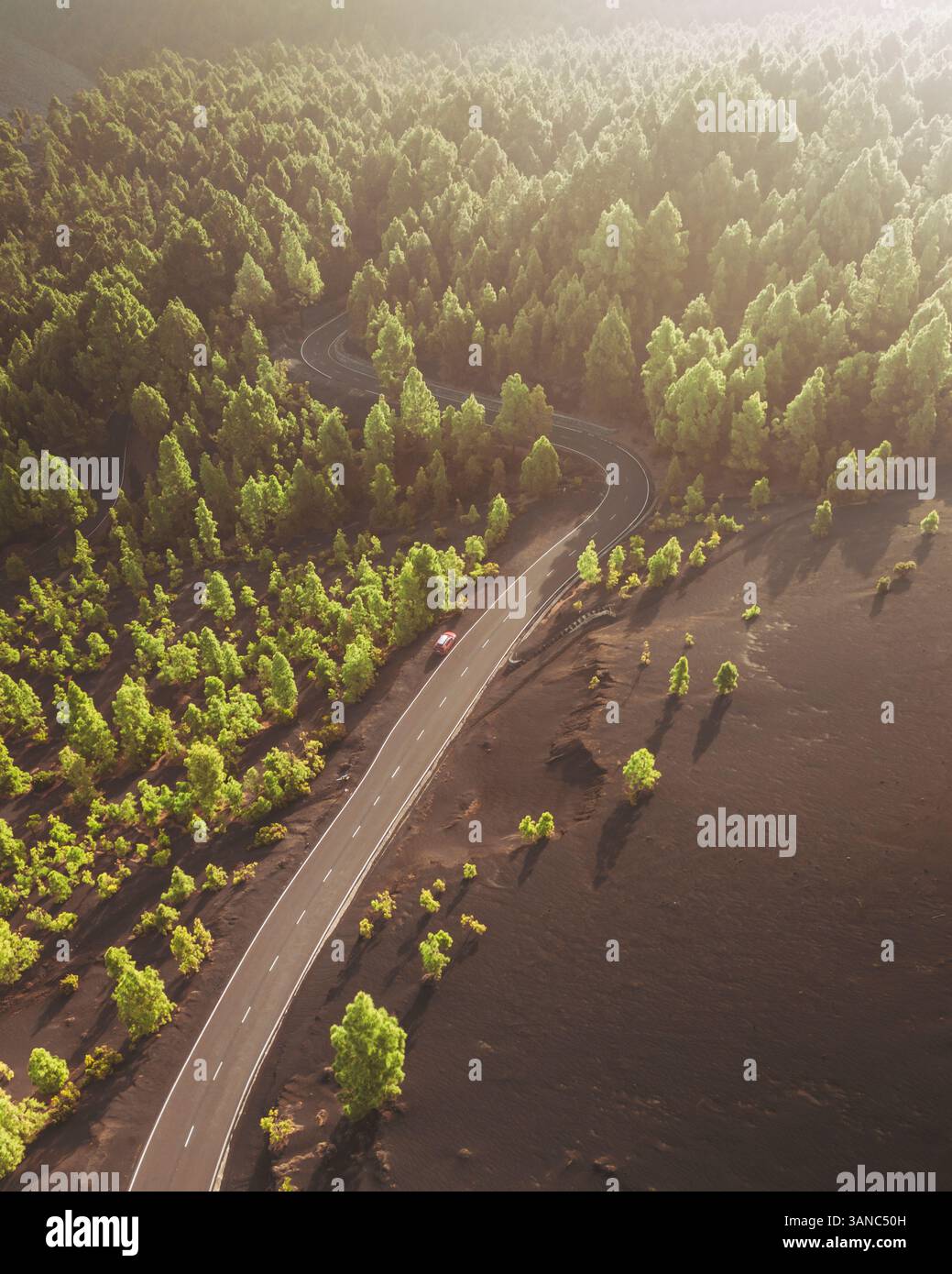 Aerial view of montana quemada and winding road through lush forest and ...