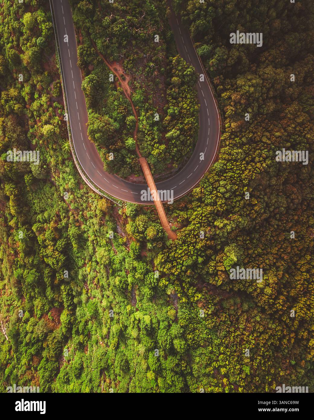 Aerial view of winding road through lush green forest and trees, Hermigua, Spain Stock Photo - Alamy