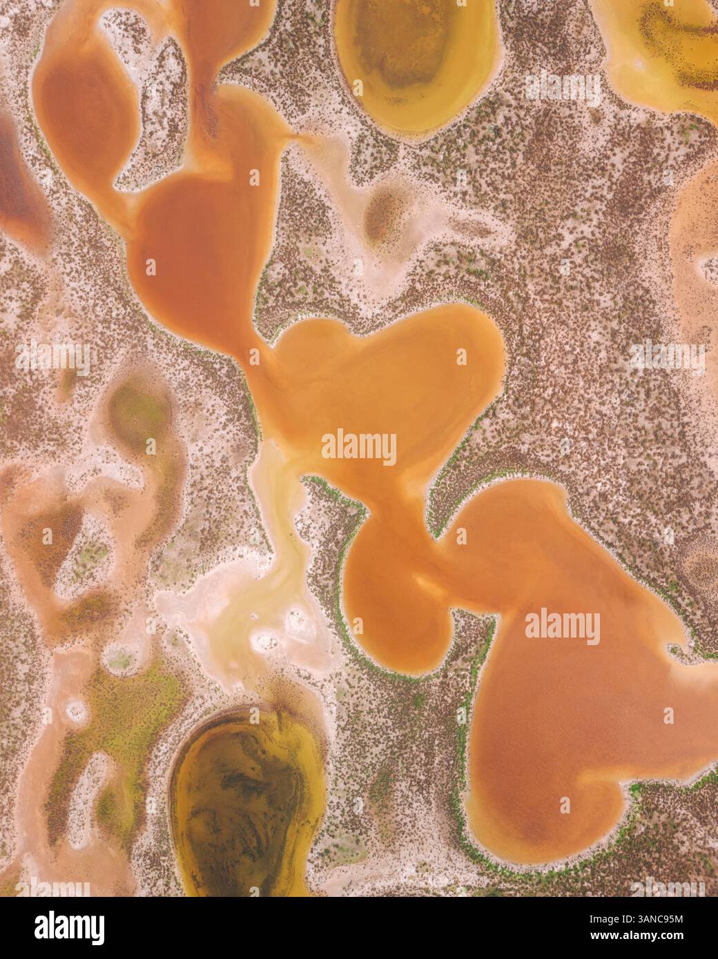 Aerial view of vibrant and serene Yarra Yarra Lakes Nature Reserve with ...