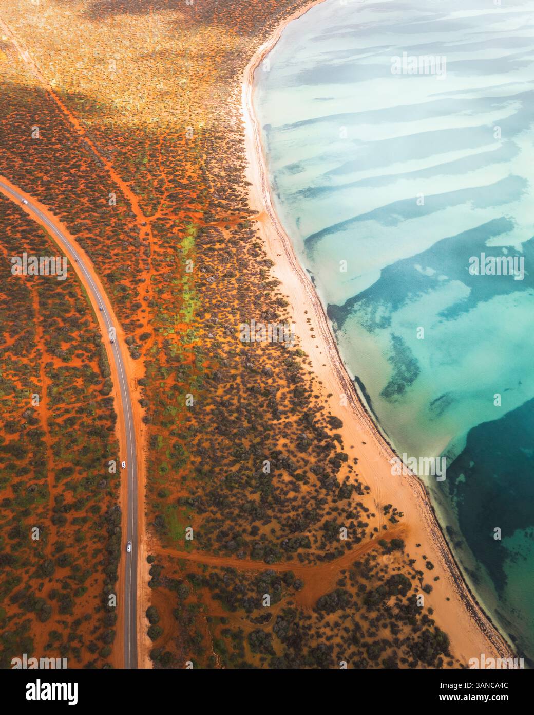 Aerial view of beautiful sandy beach and pristine coastline with clear ...