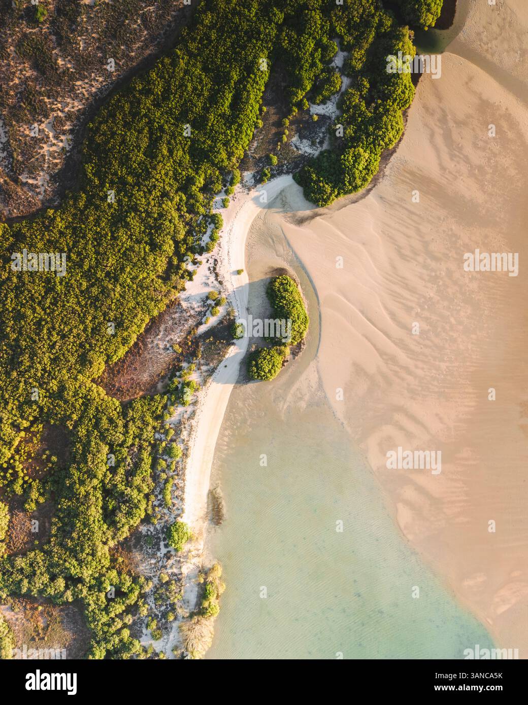 Aerial view of mangrove bay with sandy beach and lush greenery, Cape ...