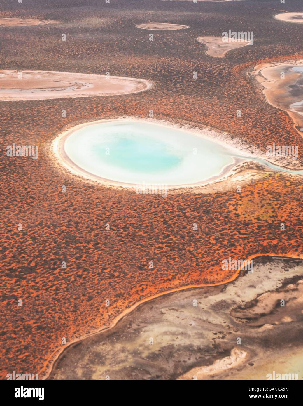 Aerial view of big lagoon in pristine natural landscape, Francois Peron ...