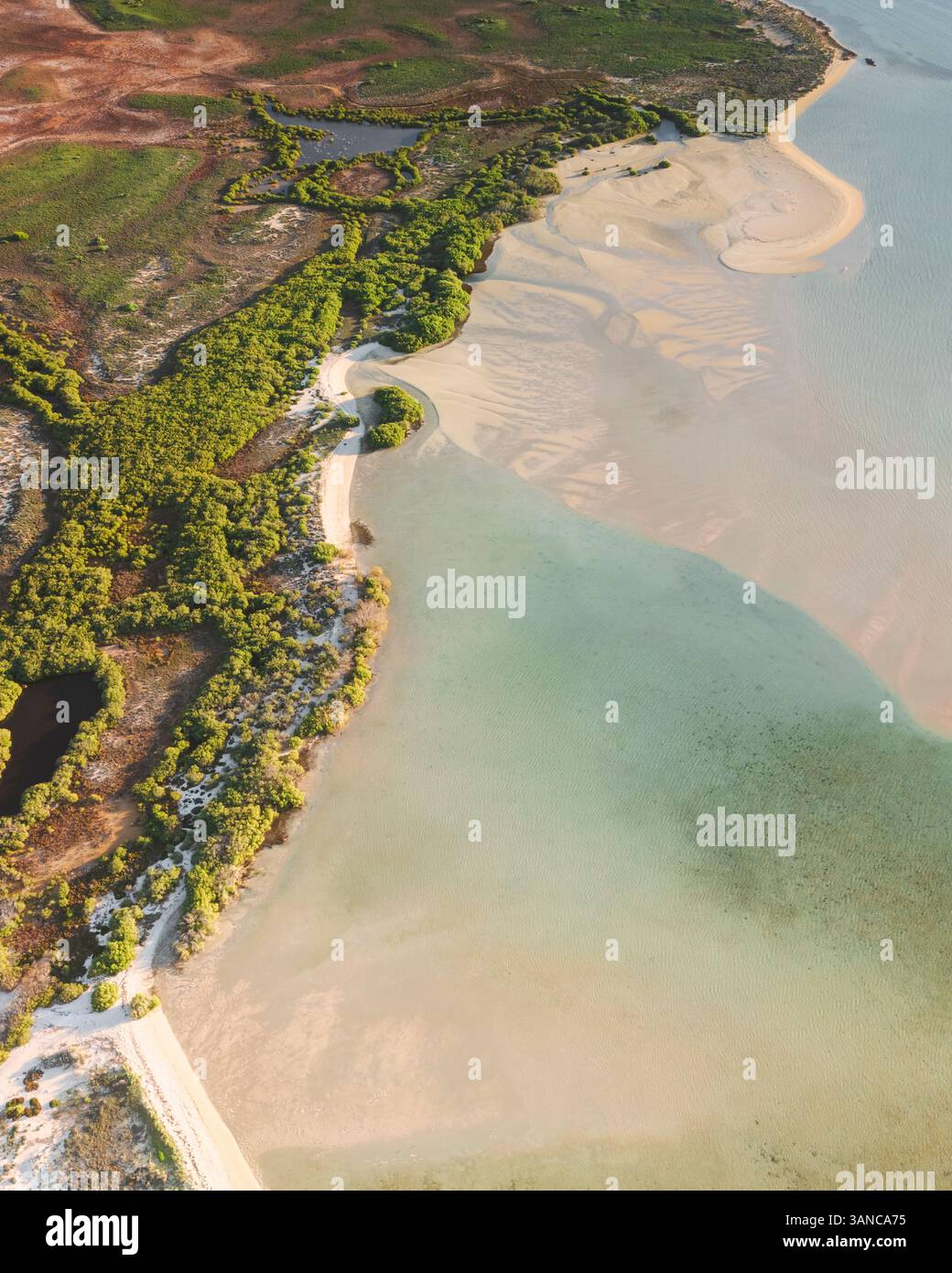 Aerial view of mangrove bay with serene coastline and beautiful beach ...