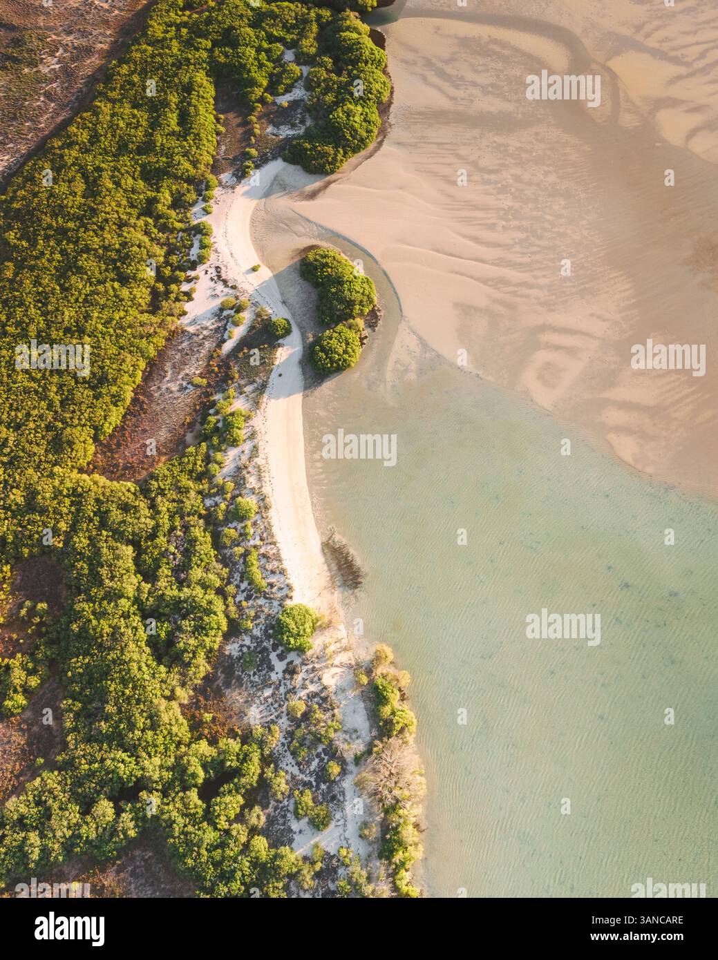 Aerial view of mangrove bay with beautiful coastline and pristine beach ...
