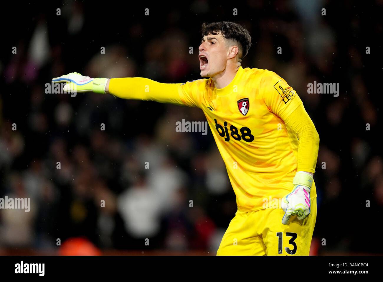 Bournemouth goalkeeper Kepa Arrizabalaga during the Premier League ...