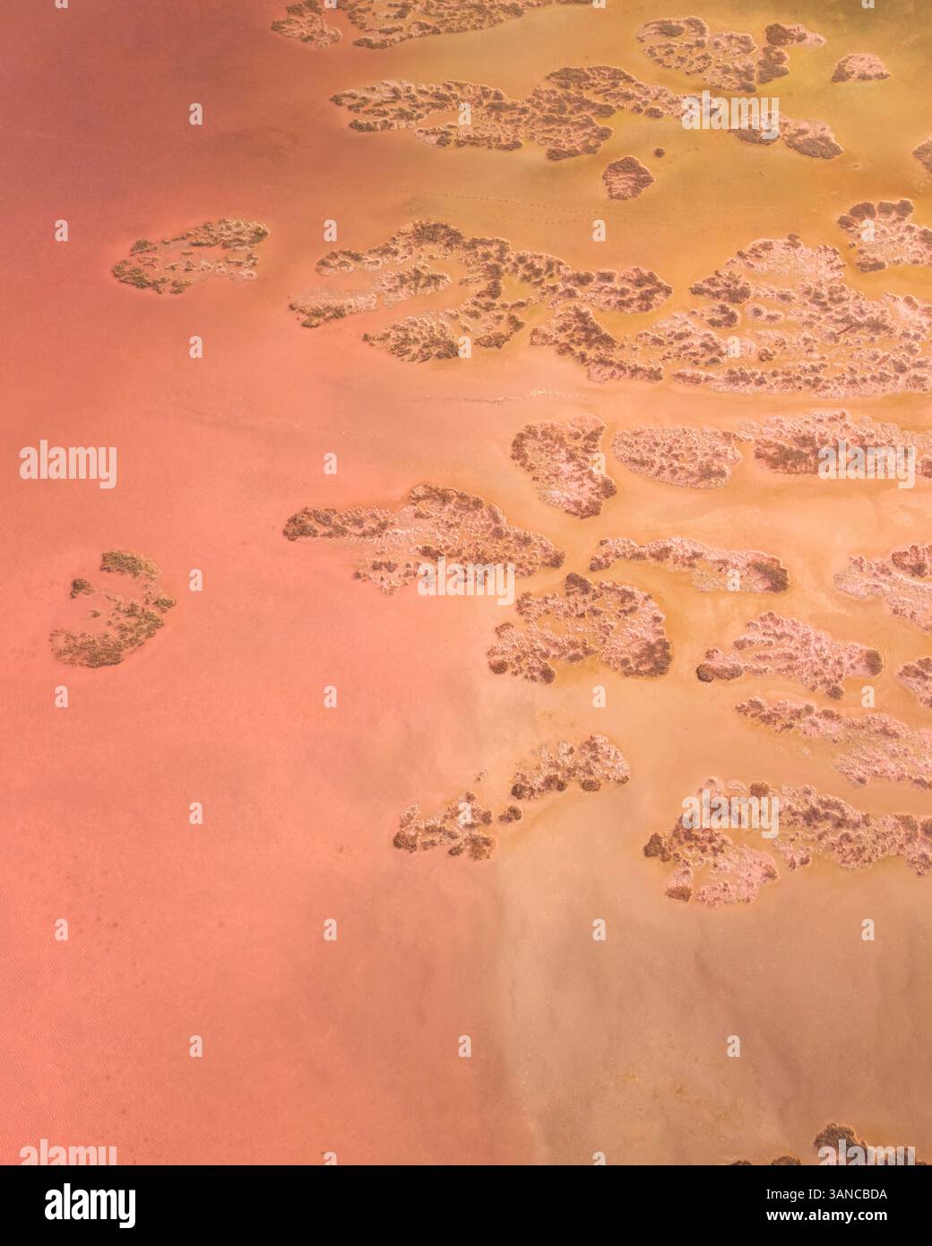 Aerial view of Hutt Lagoon and Pink Lake with beautiful patterns and ...