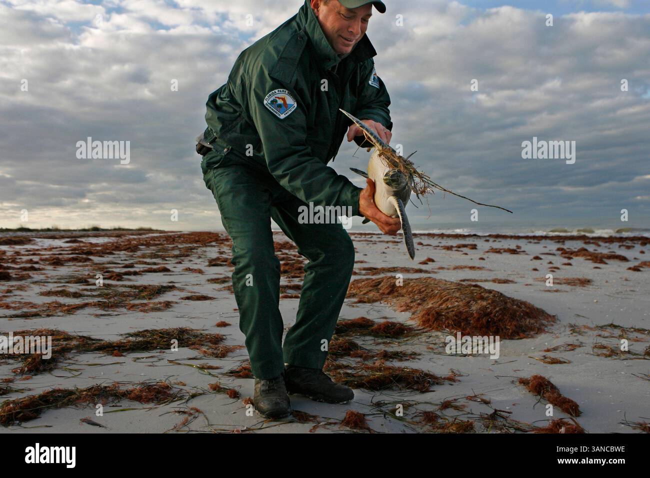 Jan. 12, 2010 - Dunedin, Florida, USA - NP 317165 DAMA COLDstun 2 (1/12 ...