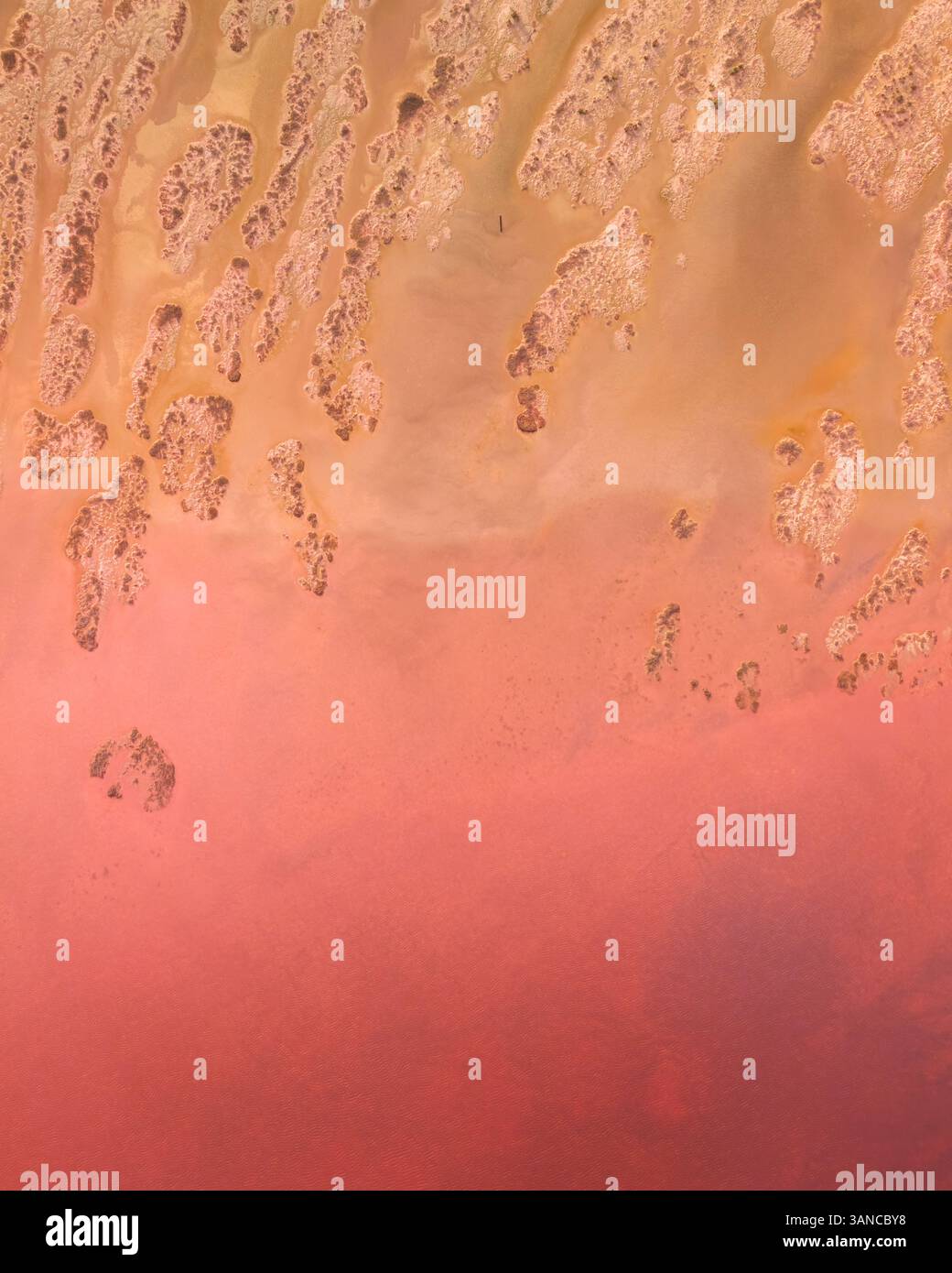 Aerial view of hutt lagoon with vibrant pink water and unique patterns ...