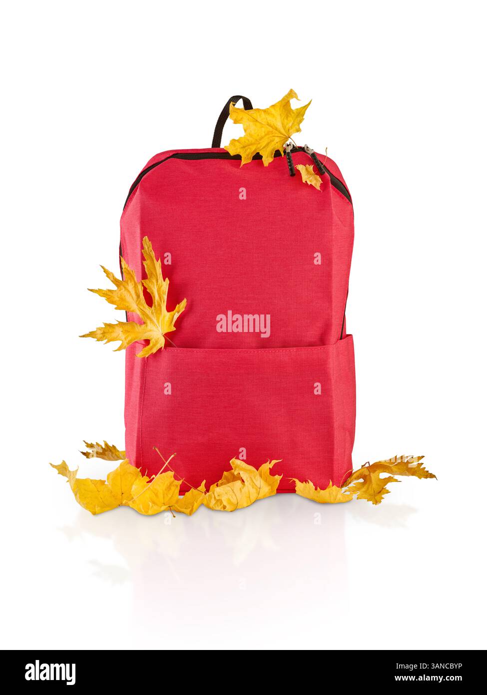 Red backpack for school with flying autumn leaves on white background ...