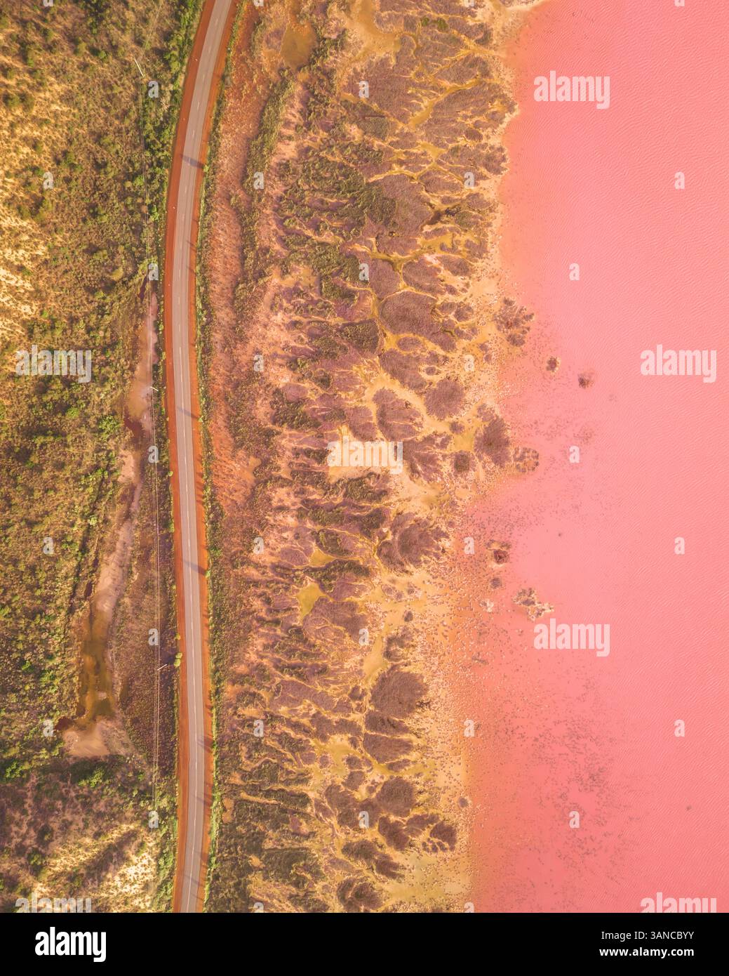 Aerial view of hutt lagoon with vibrant pink water and scenic coastline ...