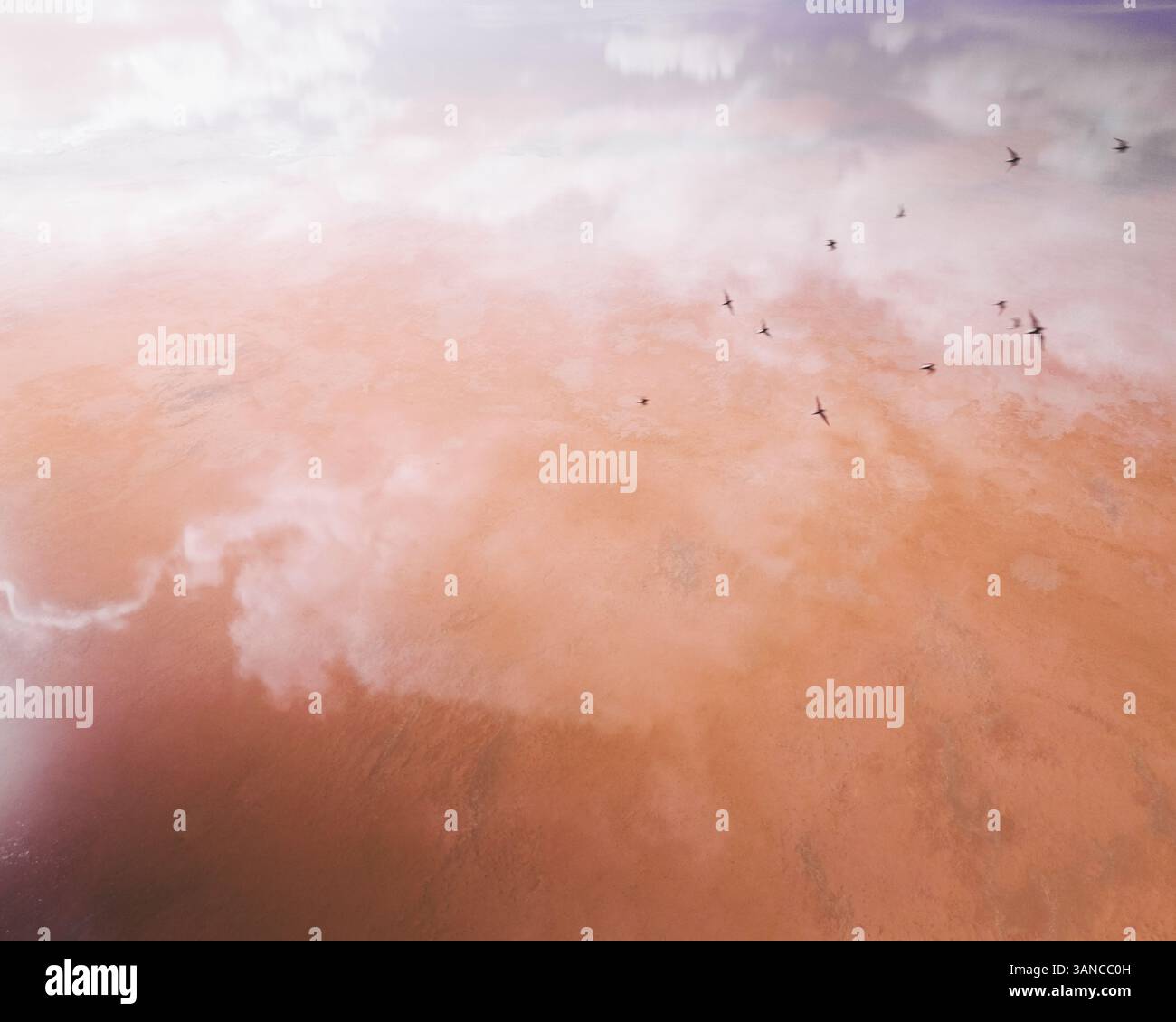 Overhead view hutt lagoon pink hi-res stock photography and images - Alamy