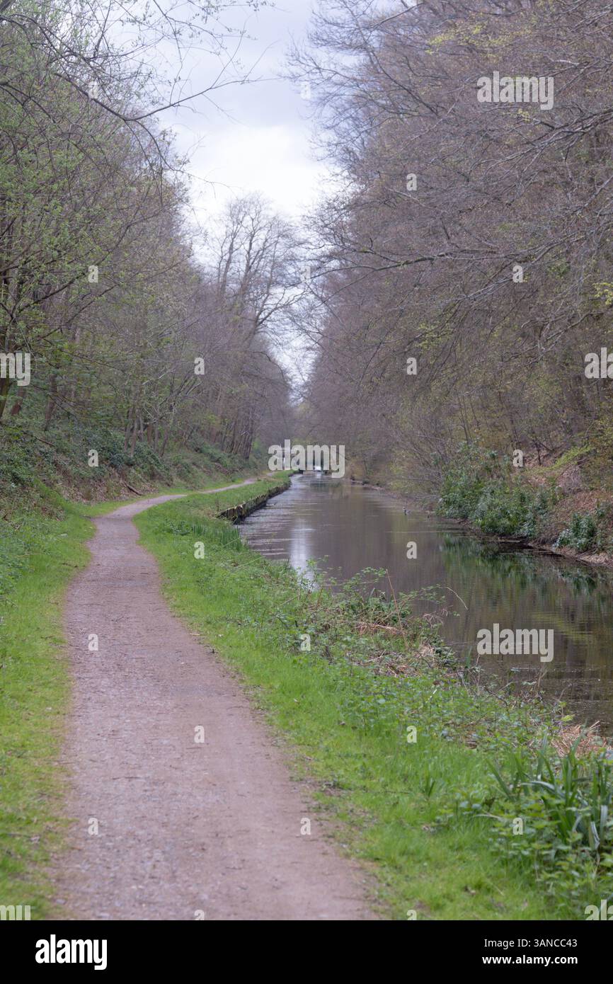 A view of the Basingstoke Canal, near Deepcut, Surrey, UK Stock Photo ...