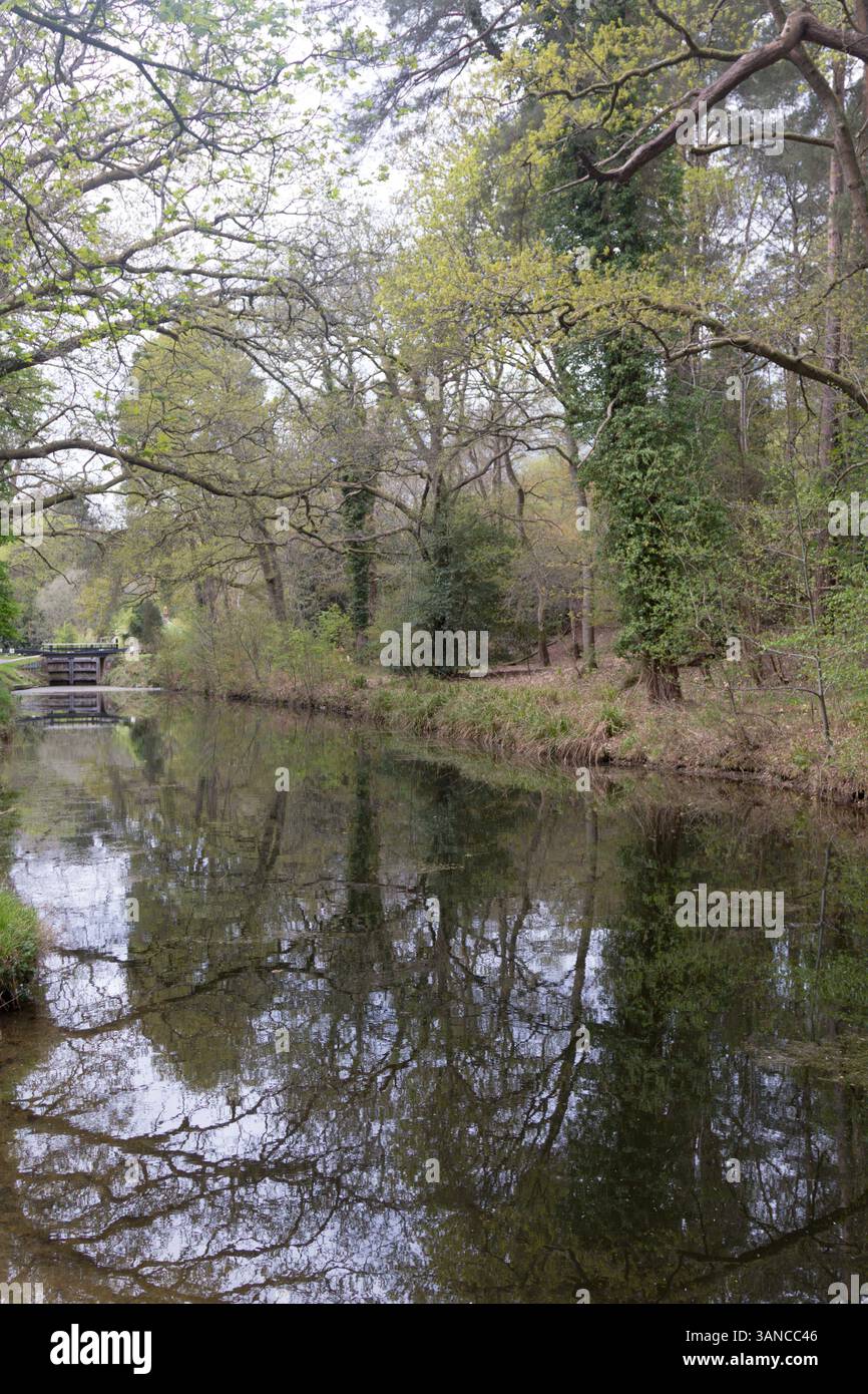 A view of the Basingstoke Canal, near Deepcut, Surrey, UK Stock Photo ...