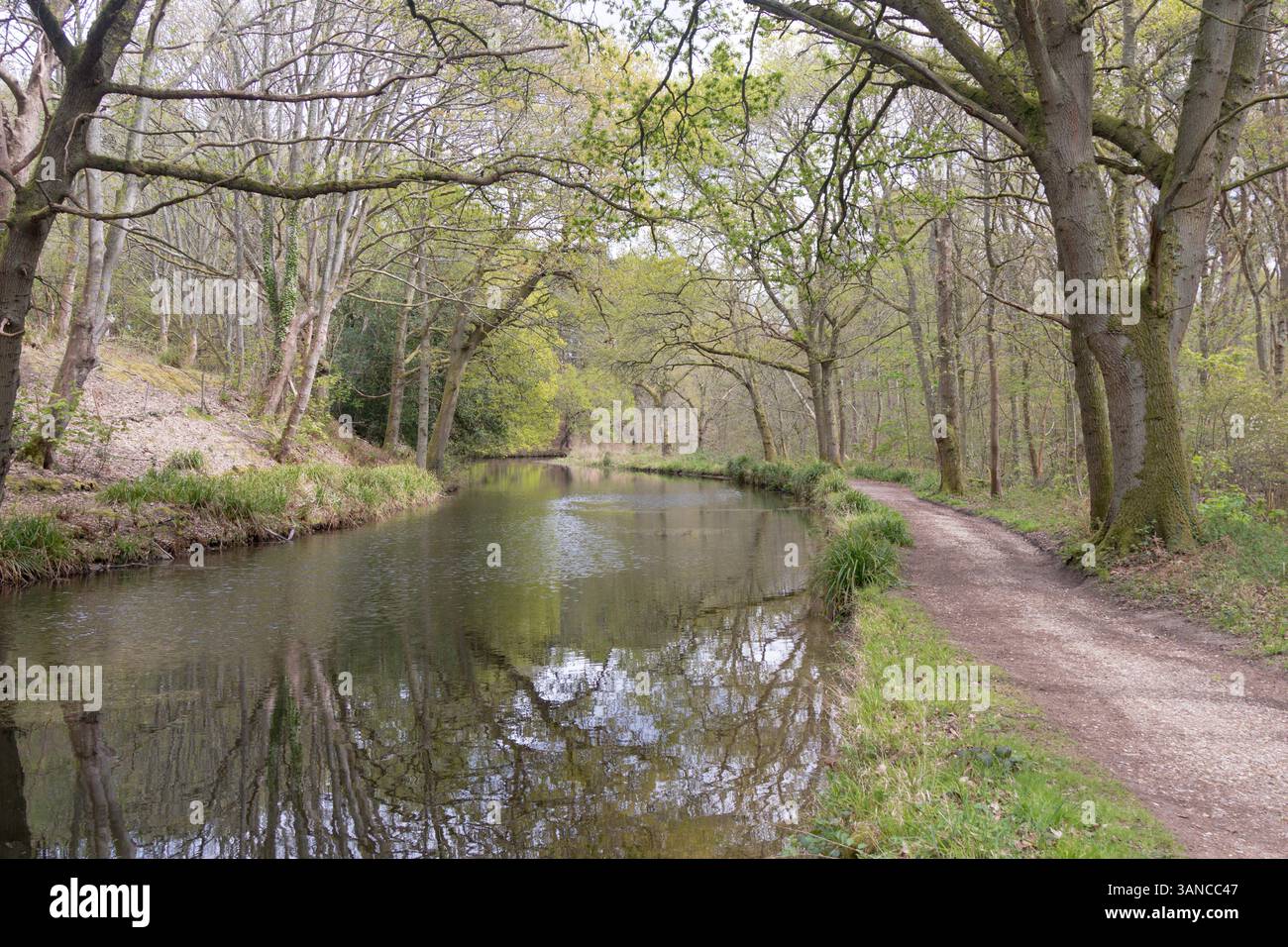 A view of the Basingstoke Canal, near Deepcut, Surrey, UK Stock Photo ...