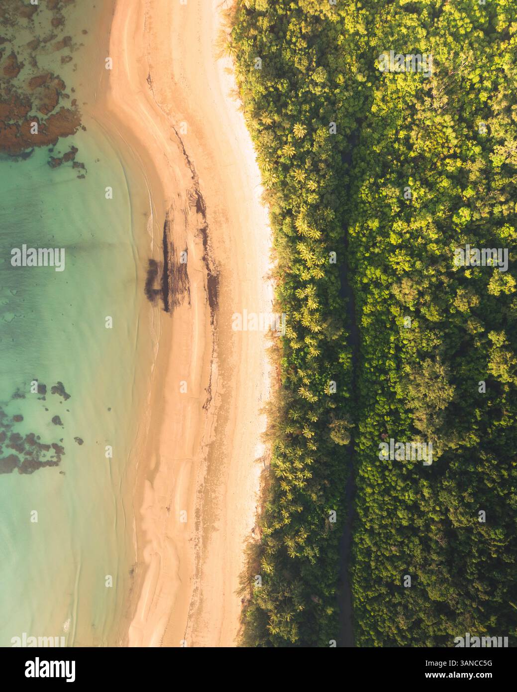 Aerial view of kulki beach with lush tropical forest and turquoise ...