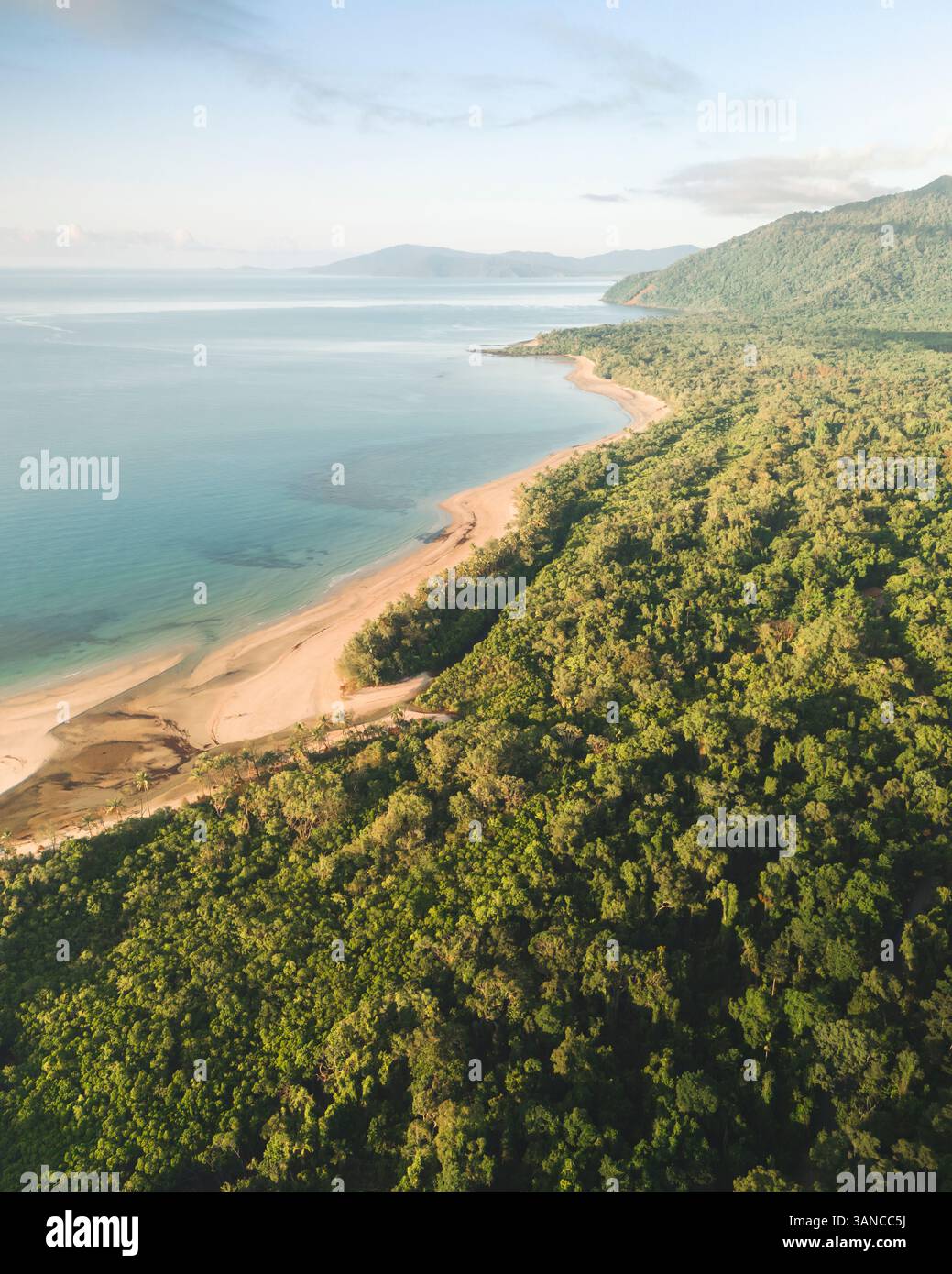 Aerial view of beautiful Kulki Beach with lush tropical forest and ...