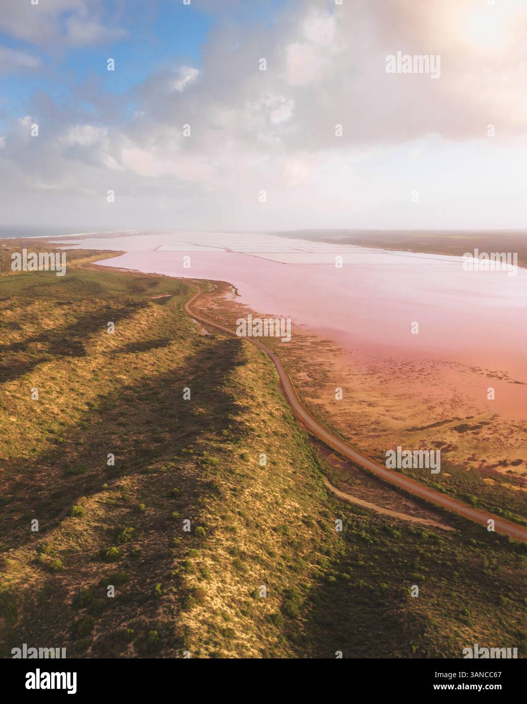 Aerial view of Hutt Lagoon, a beautiful pink lake surrounded by serene ...