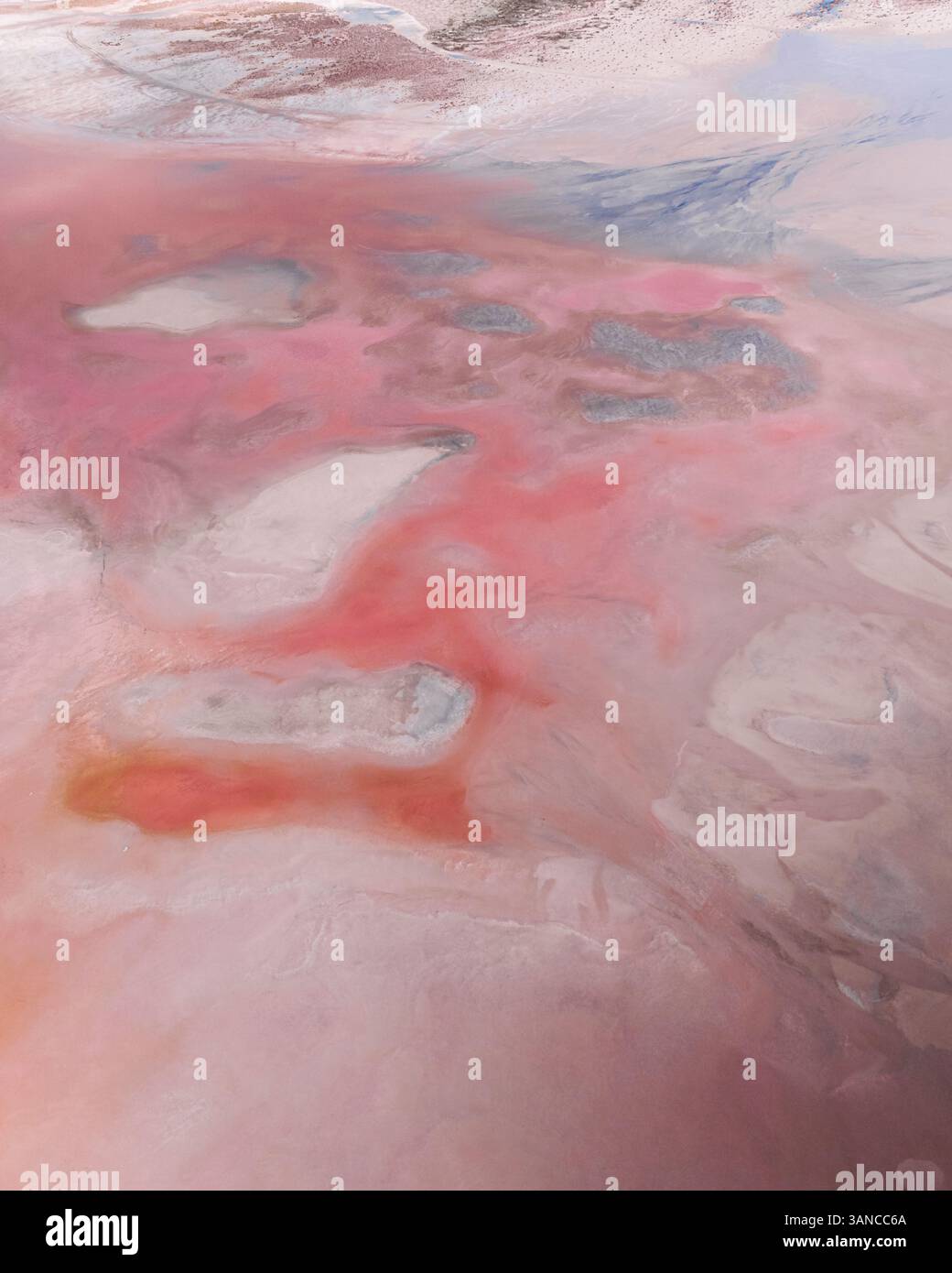 Aerial view of hutt lagoon with vibrant pink water and unique patterns ...