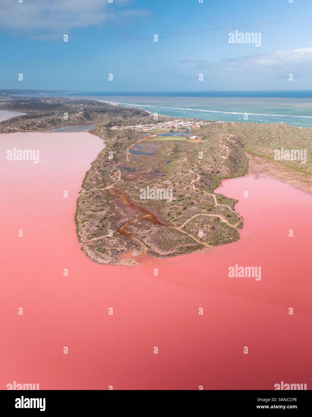 Aerial view of beautiful pink lake Hutt Lagoon with scenic coastline ...