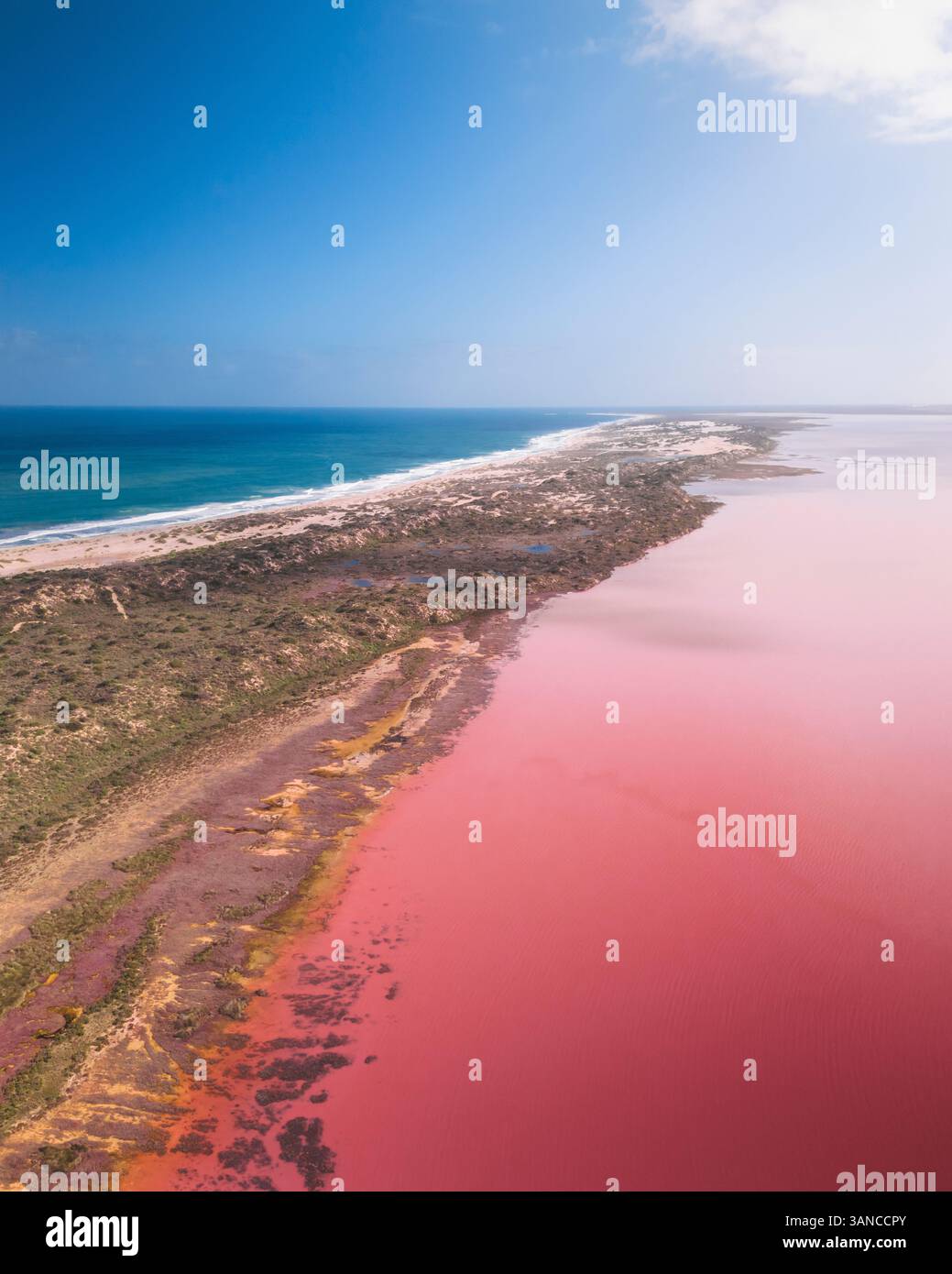 Aerial view of vibrant pink lake Hutt Lagoon contrasting with the blue ...