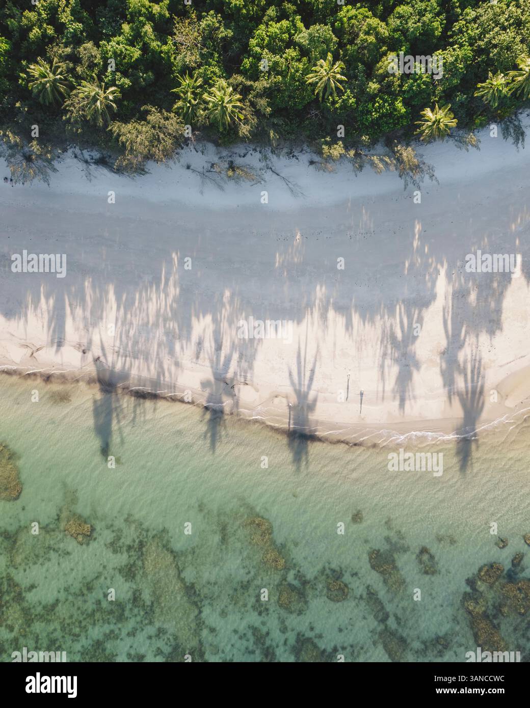 Aerial view of beautiful Myall Beach surrounded by lush Daintree ...