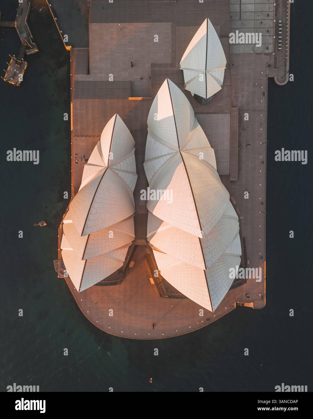 Aerial view of sydney opera house at sunrise over the harbor, sydney ...