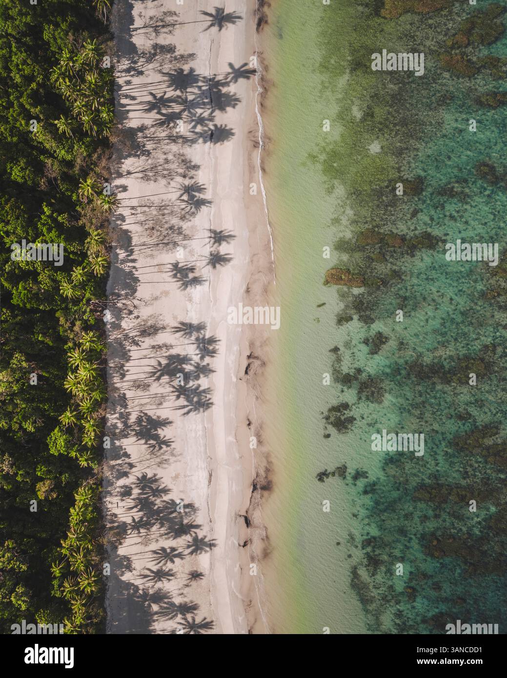 Aerial view of Coconut Beach with turquoise ocean, palm trees, and lush ...