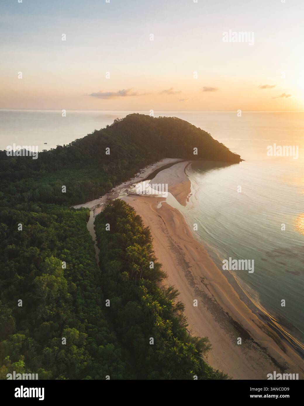 Aerial view of beautiful Myall Beach with lush Daintree Rainforest ...