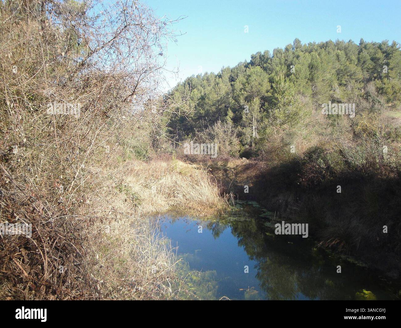 A pond is a basic system for collecting and harvesting water A pond is ...