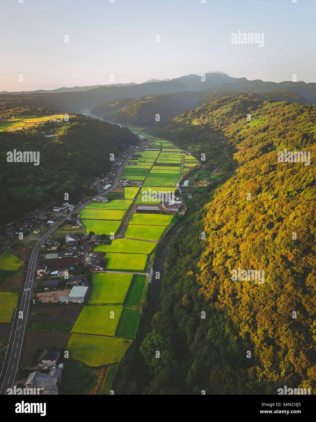 Aerial shot of the rice fields of Furueda town at sunrise, Kashima ...