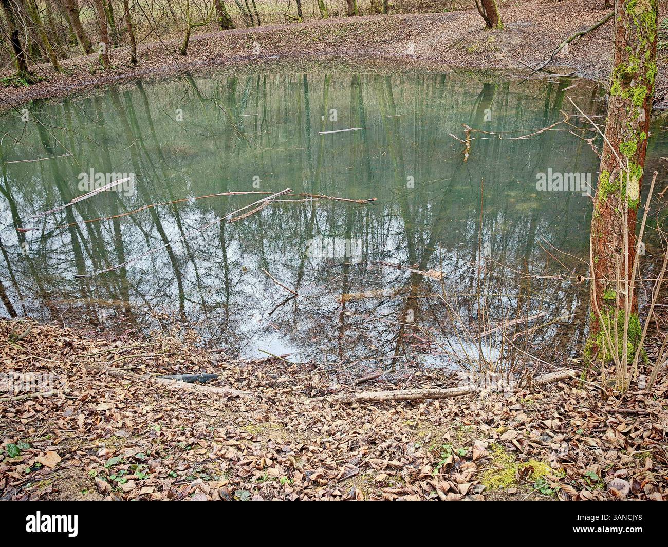 A pond is a basic system for collecting and harvesting water A pond is ...