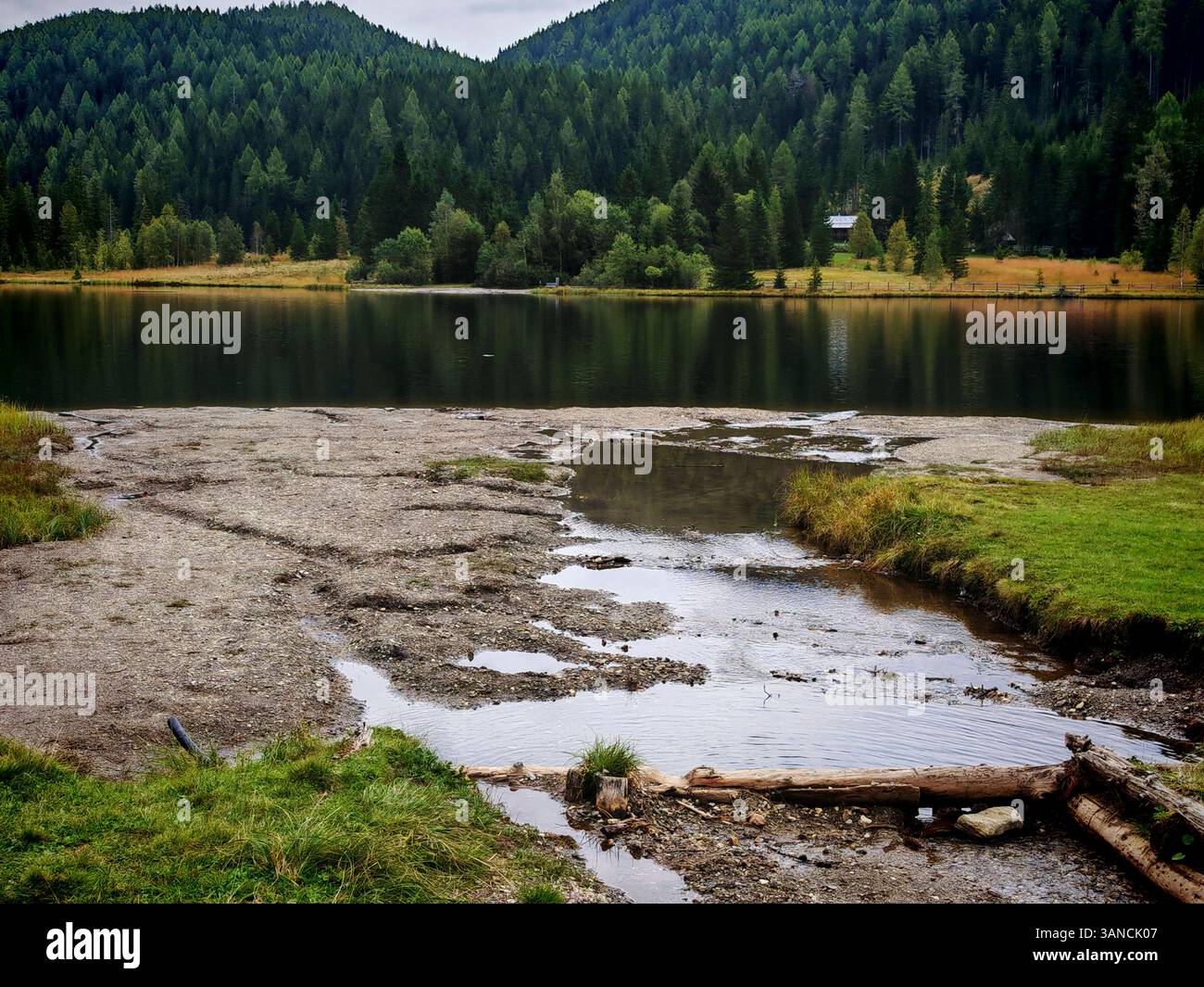A pond is a basic system for collecting and harvesting water A pond is ...