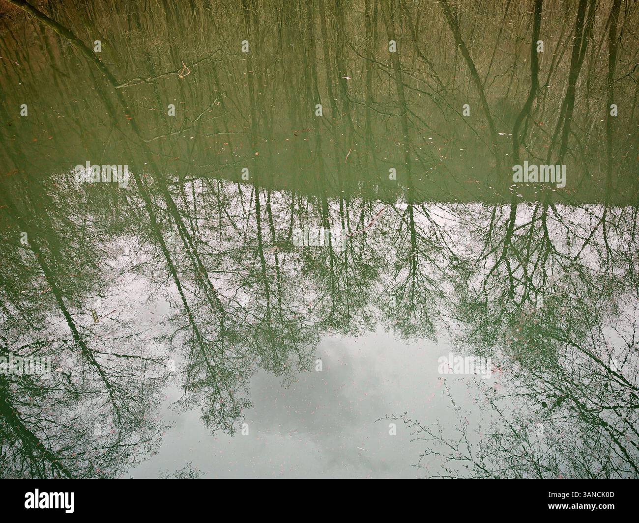 A pond is a basic system for collecting and harvesting water A pond is ...