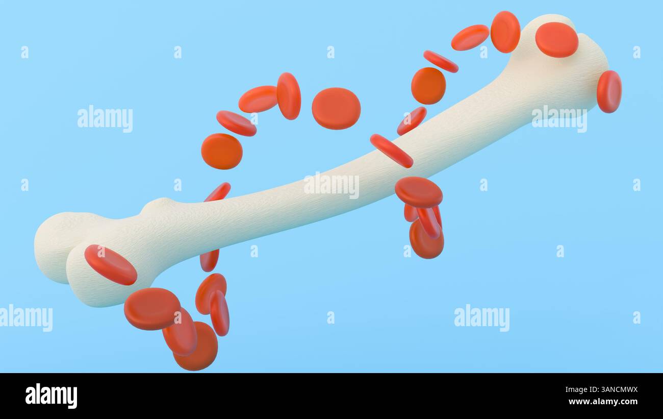 A 3d rendering of scattered red blood cells or erythrocytes are ...