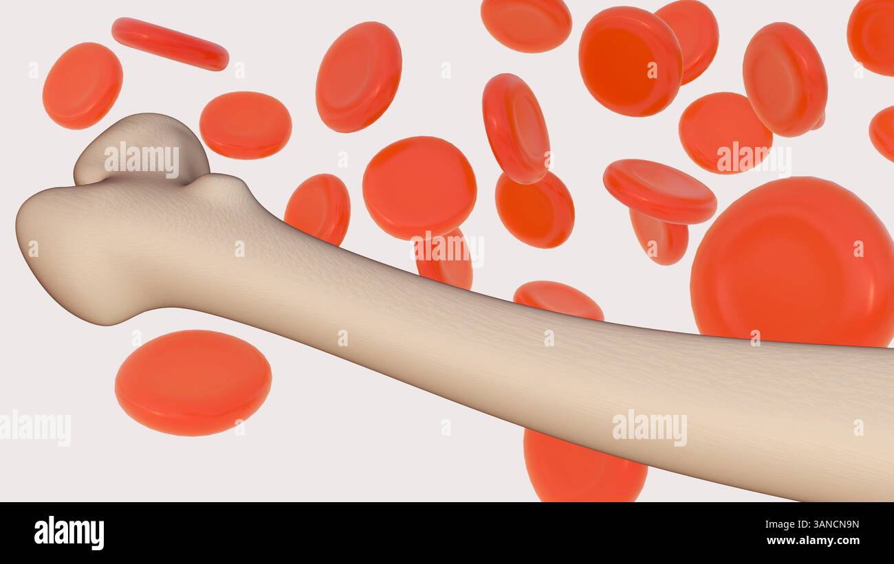 A 3d rendering of scattered red blood cells or erythrocytes are ...