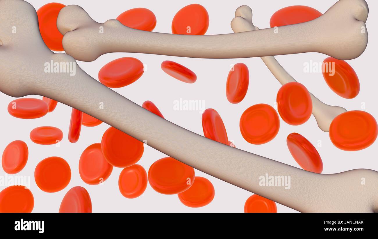 A 3d rendering of scattered red blood cells or erythrocytes are ...
