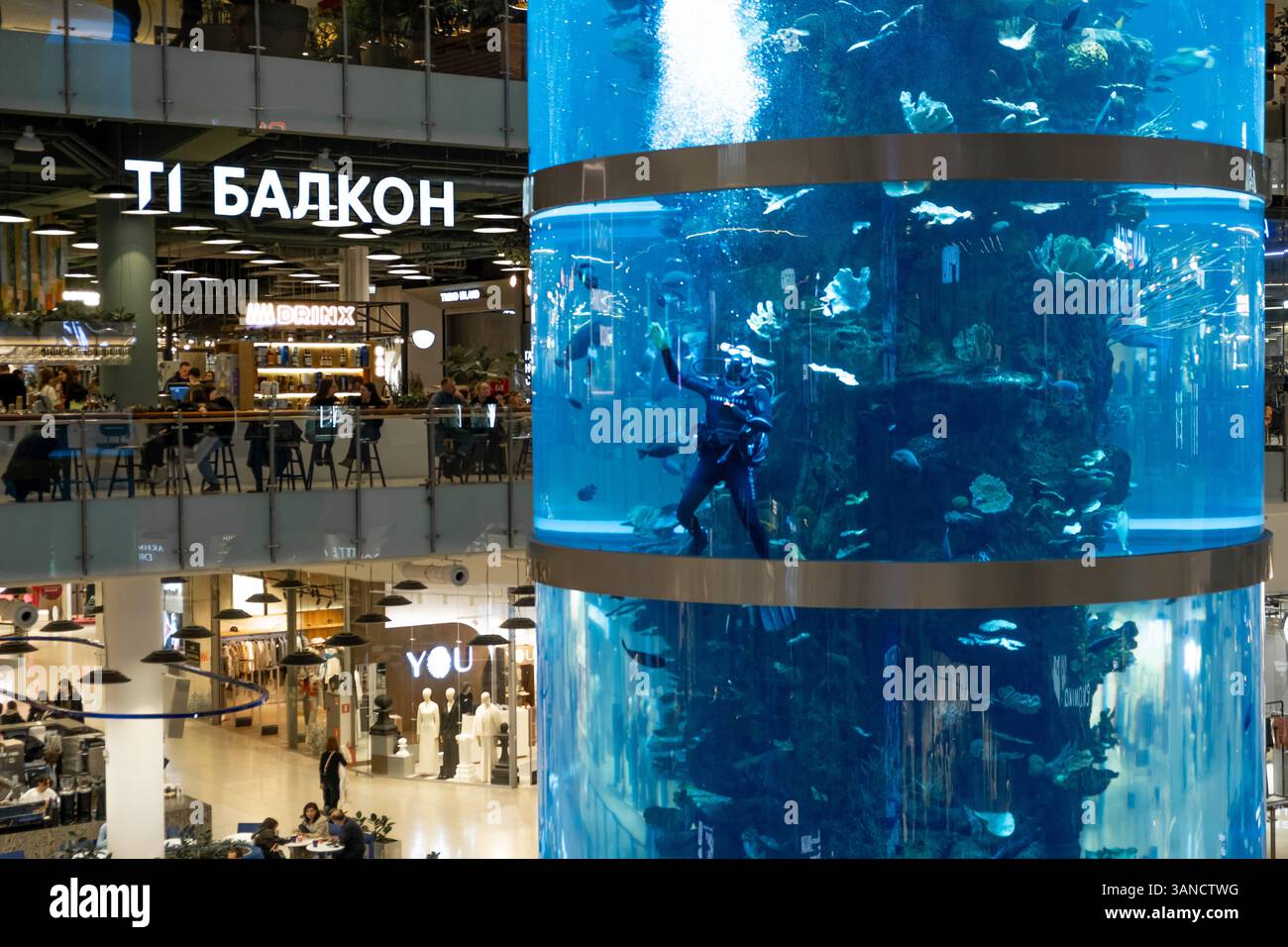 A diver explores the vibrant underwater world in Aviapark malls Stock ...