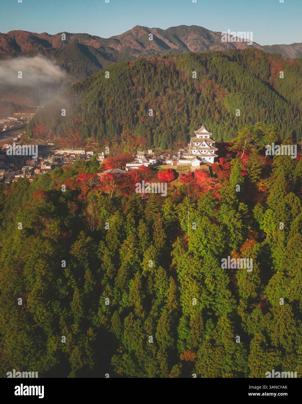 Aerial view of Gujo Hachiman Castle at sunrise during koyo season, Gujo ...