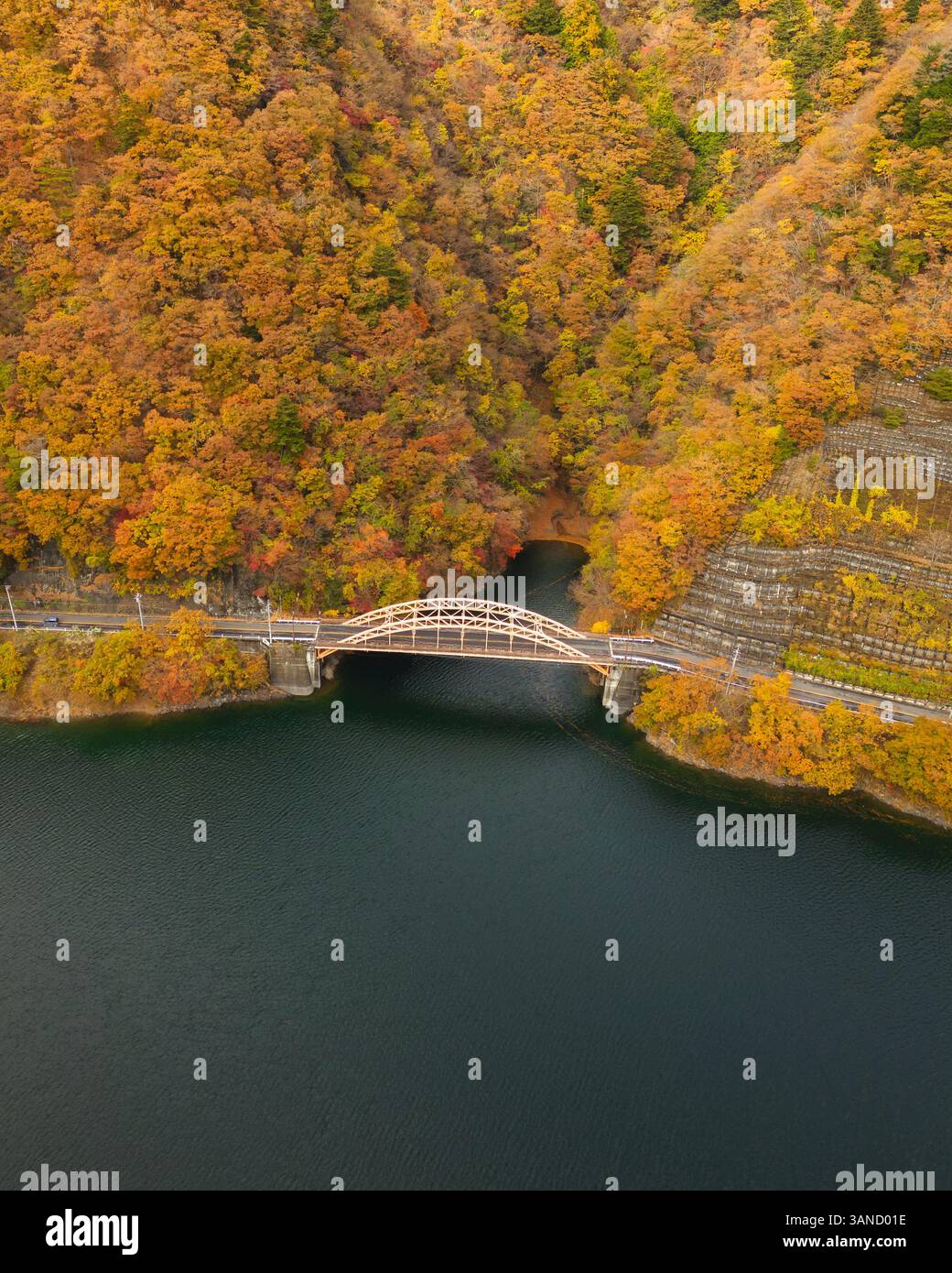Aerial view of the Mugiyama bridge on Lake Okutama during koyo season ...